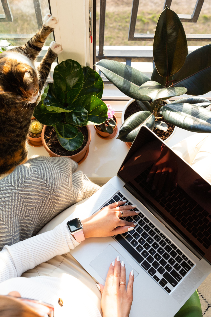 Work From Home Jobs That Don't Require a College Degree
